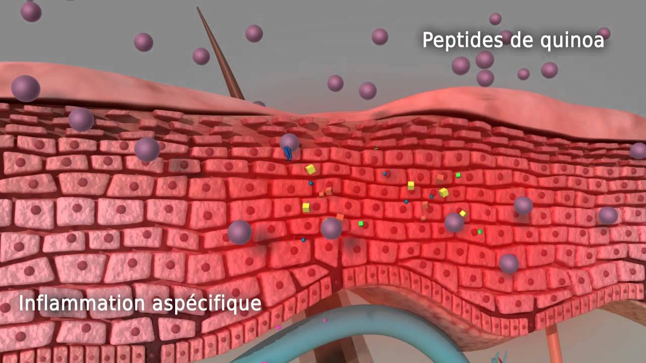 Structure de la peau : l'épiderme - YouTube