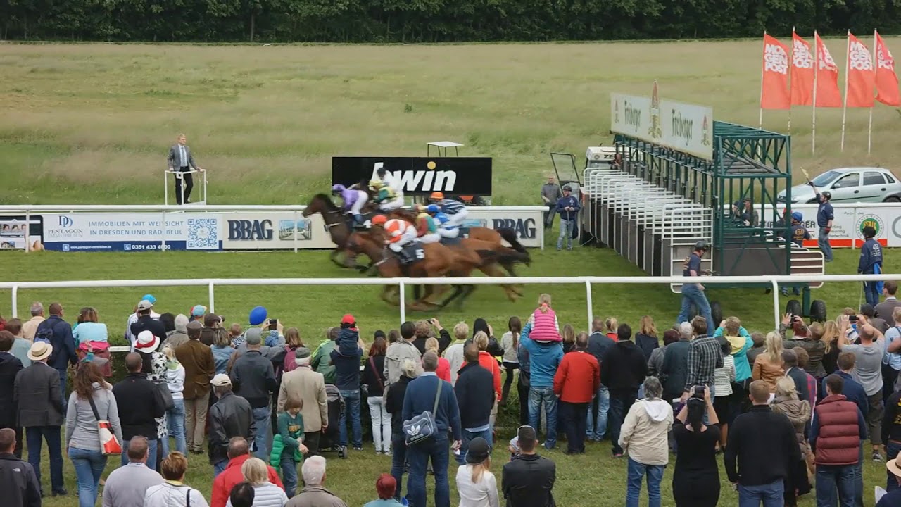 Horse Racing - YouTube