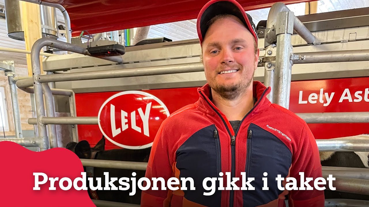 Melke-bonanza med Lely robot hos Martin Ruud-Rehder - YouTube
