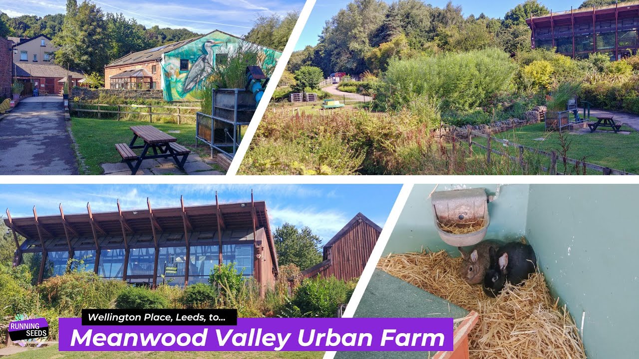 Wellington Place to Meanwood Valley Urban Farm - YouTube