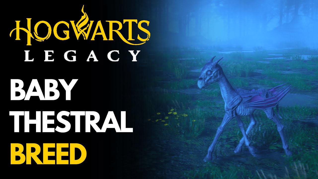 Baby Thestral Breed Hogwarts Legacy - YouTube