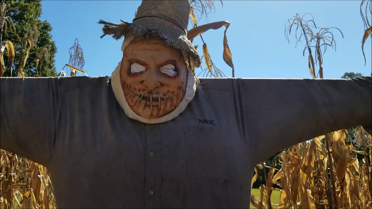 2018 Halloween Haunted Corn Maze - YouTube