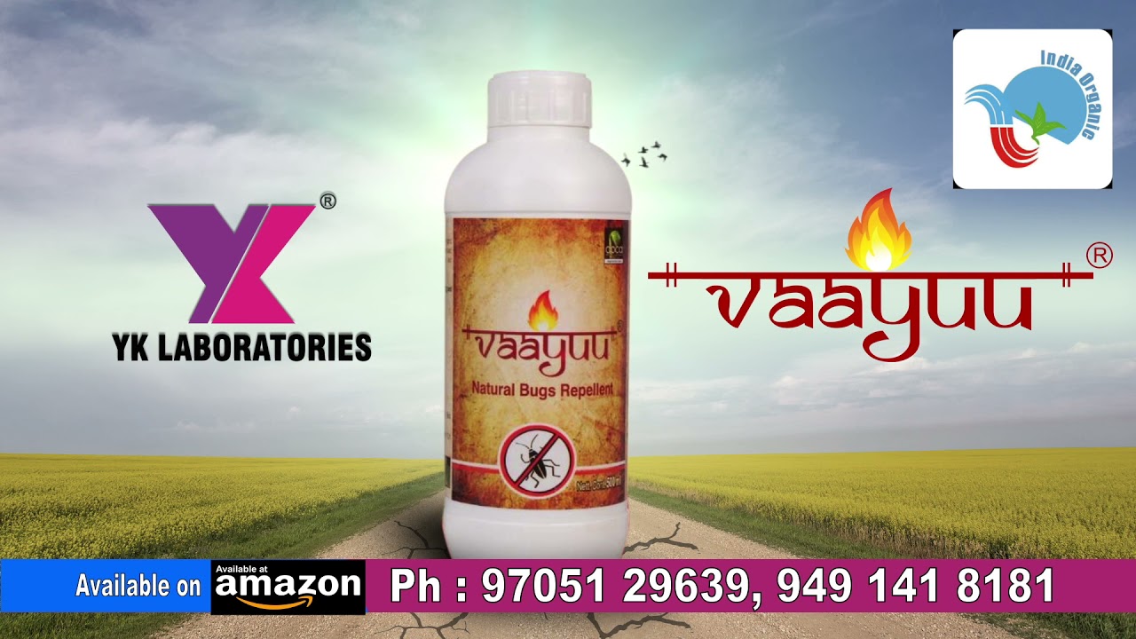 Cabbage #DBM# Tomato Leaf Minor vaayuu kannada || YK Laboratories - YouTube