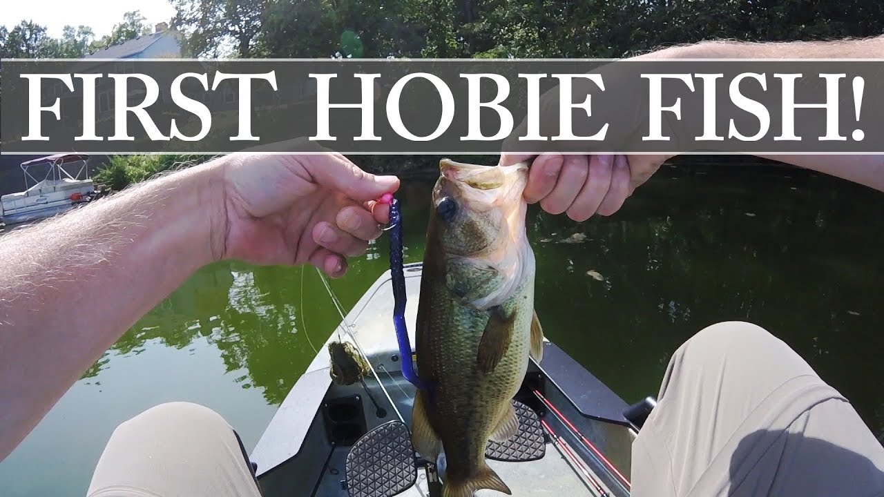 GREEN fish in GREEN WATER - Realistic Fishing BaitBox Challenge SLAMMED ...