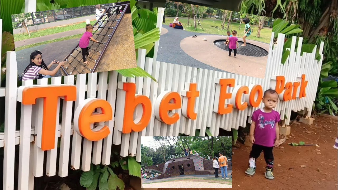 Wisata Tebet Eco Park||Gratis|| #wisataindonesia #tebetecopark #tebet # ...