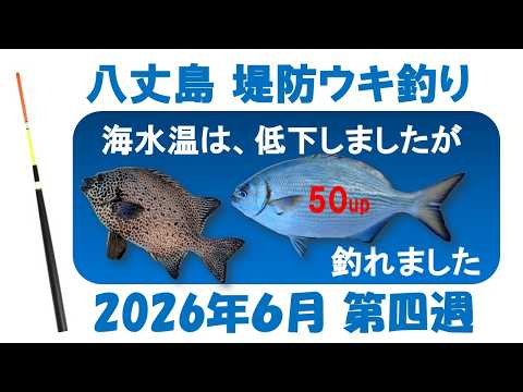海水温は低下しましたが、50up釣れました