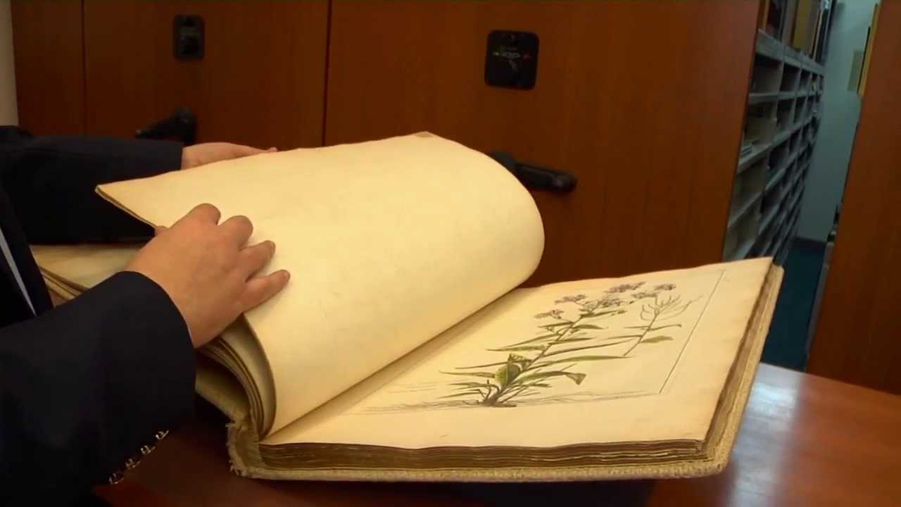 Go Inside New York’s Nearly Secret Botanical Library