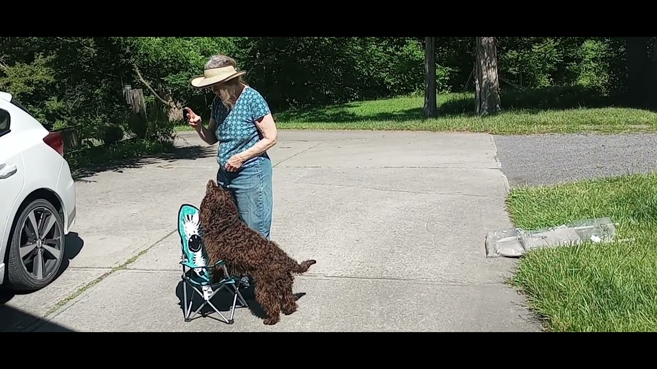 Ruby #3 Get On (2 Front Feet) Second Example - YouTube