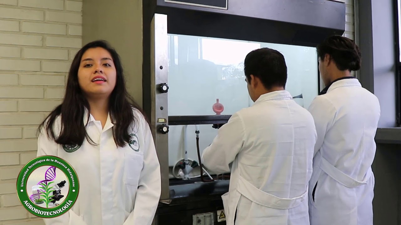 Proceso de Admisión 2020 de la UTHH #InspirandoMentesExtraordinarias ...