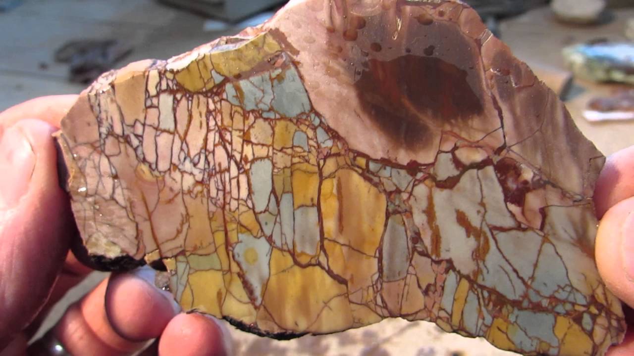 Dead Camel 9 - YouTube