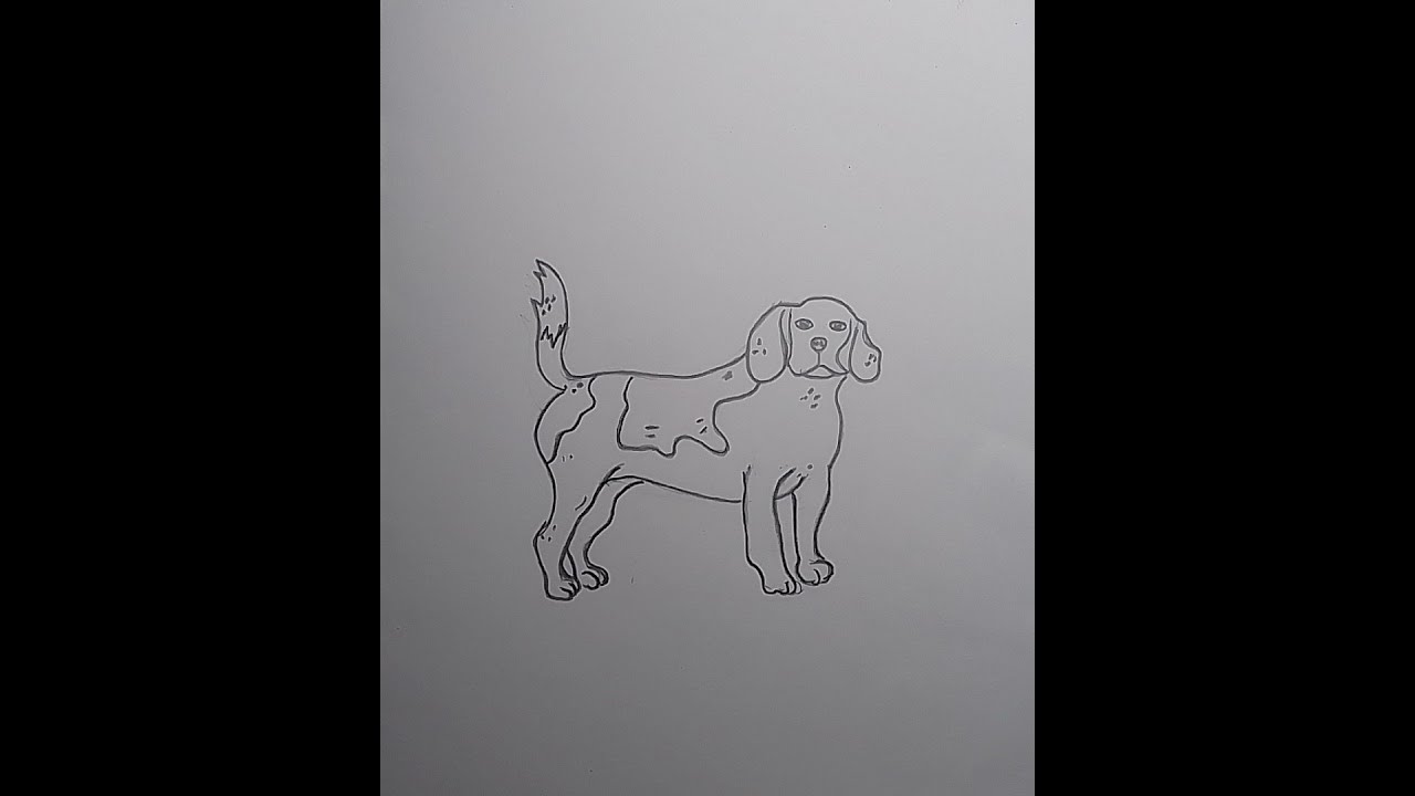 Drawing a Dog Step by step Tutorial for Beginners - YouTube