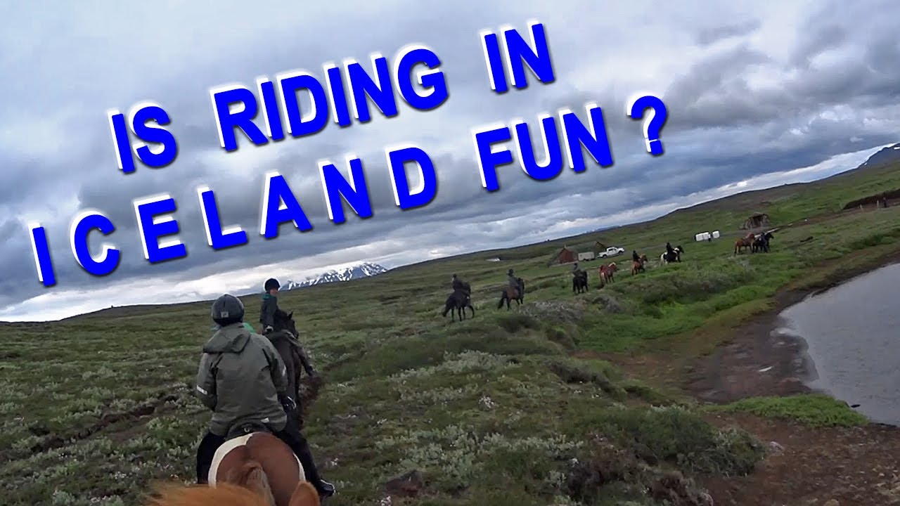 Is Riding In Iceland Fun ? 🇮🇸 🐴 - YouTube