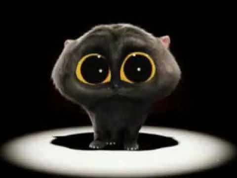 Smeshnoj multik pro kota - YouTube