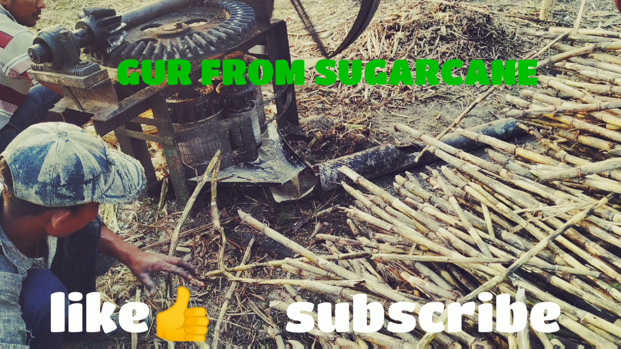 How to make GUR from sugarcane 👍|| GUR FROM SUGARCANE|| - YouTube