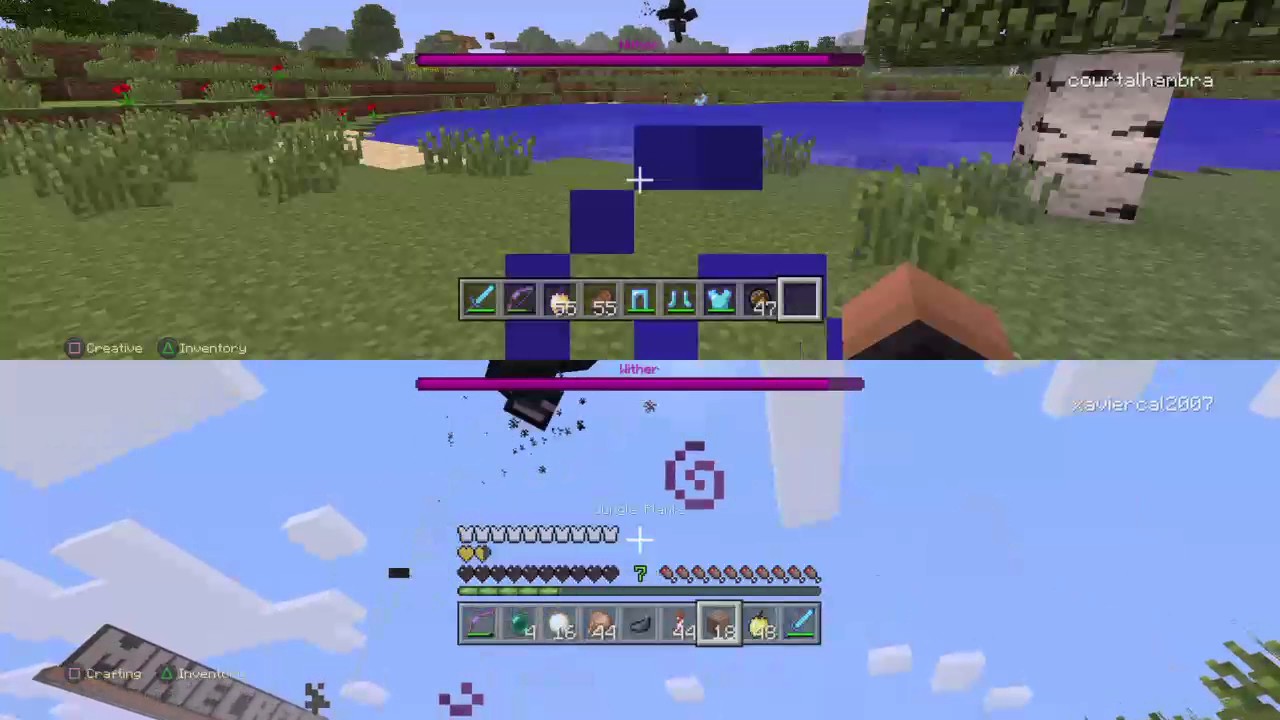 Minecraft ||Breaking the mind control and killing the Wither| | Custom ...