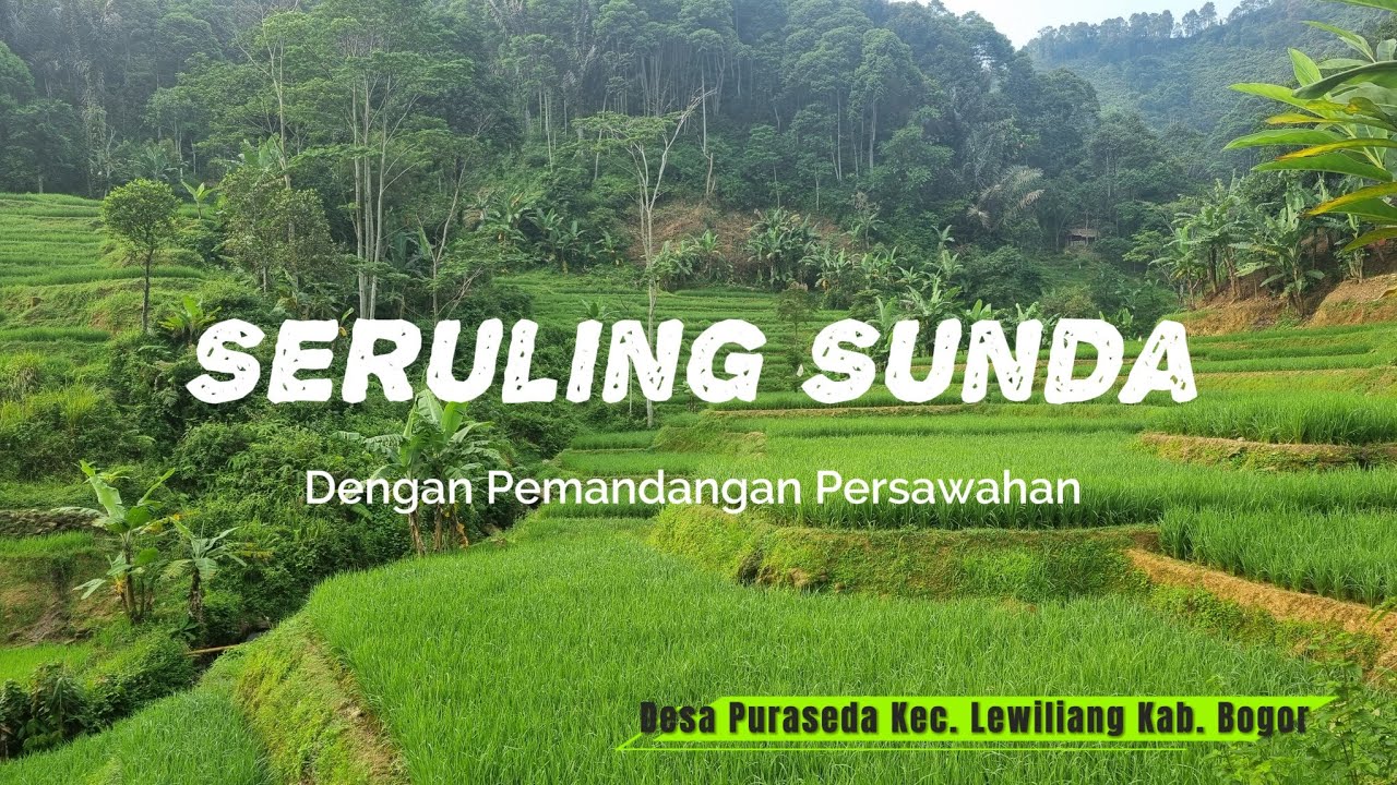 SERULING SUNDA DENGAN SUASANA PEDESAAN | MUSIK SUNDA NO COPYRGIHT # ...