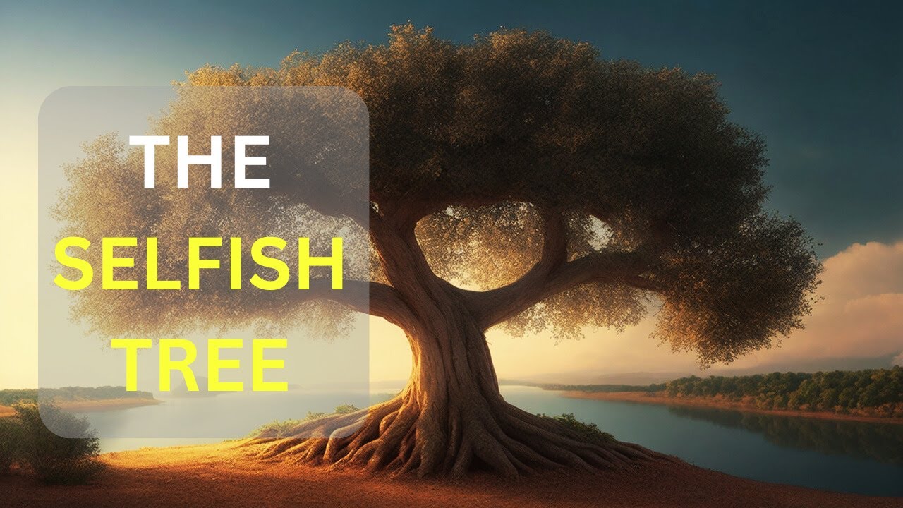 The Selfish Tree | Interesting Story | @KoKo TV - YouTube