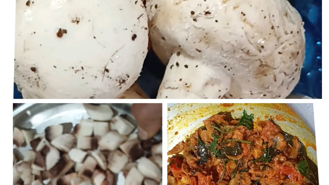...🍄🍄Easy to prepare Mushroom curry for Roti,Variety Rice Recipe🍄🍄...😍 ...