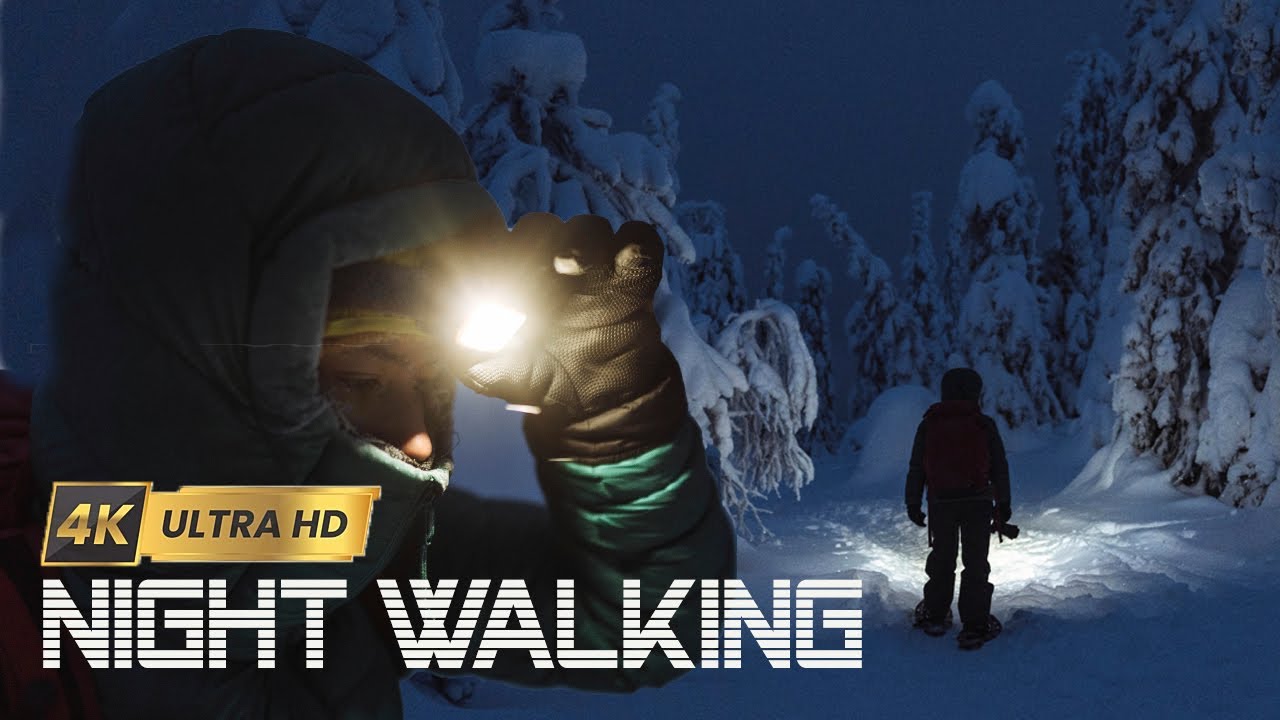 Walking Through Snowy Forest at Night | Snow Creaking Noise - YouTube