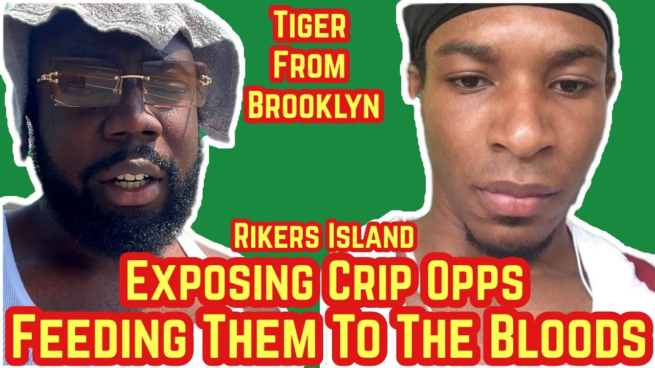 Rikers Island- He Jumped Crips & Exposed Flag Folding Crips To The ...