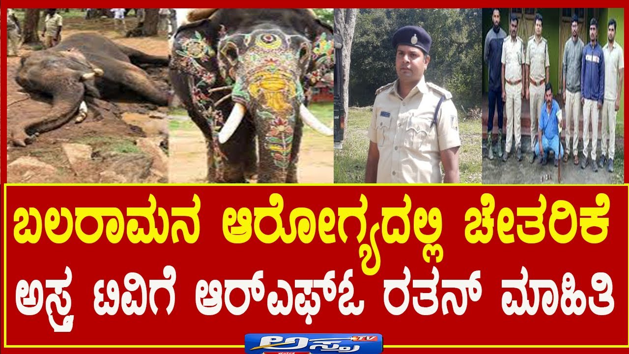 Dasara Elephant Balarama | Mysuru ಅಂಬಾರಿ ಹೊರುತ್ತಿದ್ದ ಆನೆ ಮೇಲೆ ಅಟ್ಯಾಕ್ ...