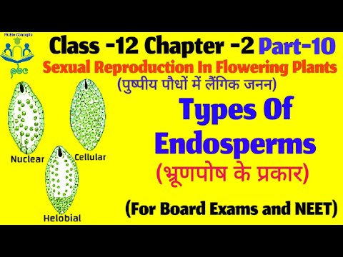 Endosperm | Types Of Endosperm | भ्रूणपोष के प्रकार - YouTube