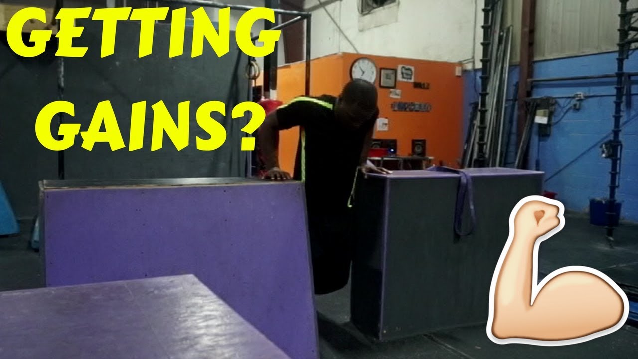 Getting those Gains - YouTube