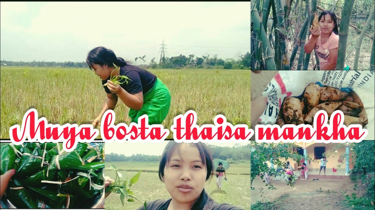 MuyaHa kwtwi tai chichiri mansukha //awan bangwi mosodeng belai thokha ...