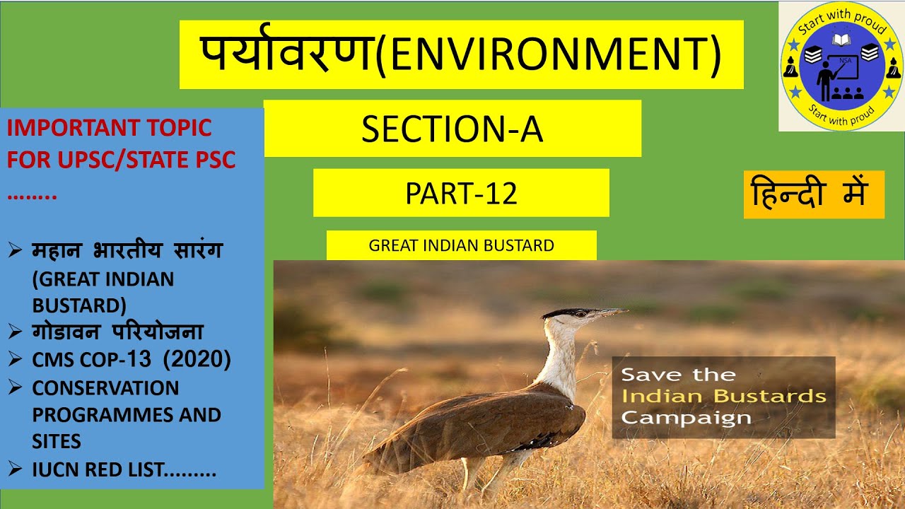 GREAT INDIAN BUSTARD |GREAT INDIAN BUSTARD IN HINDI|GODAVAN PROJECT|CMS ...