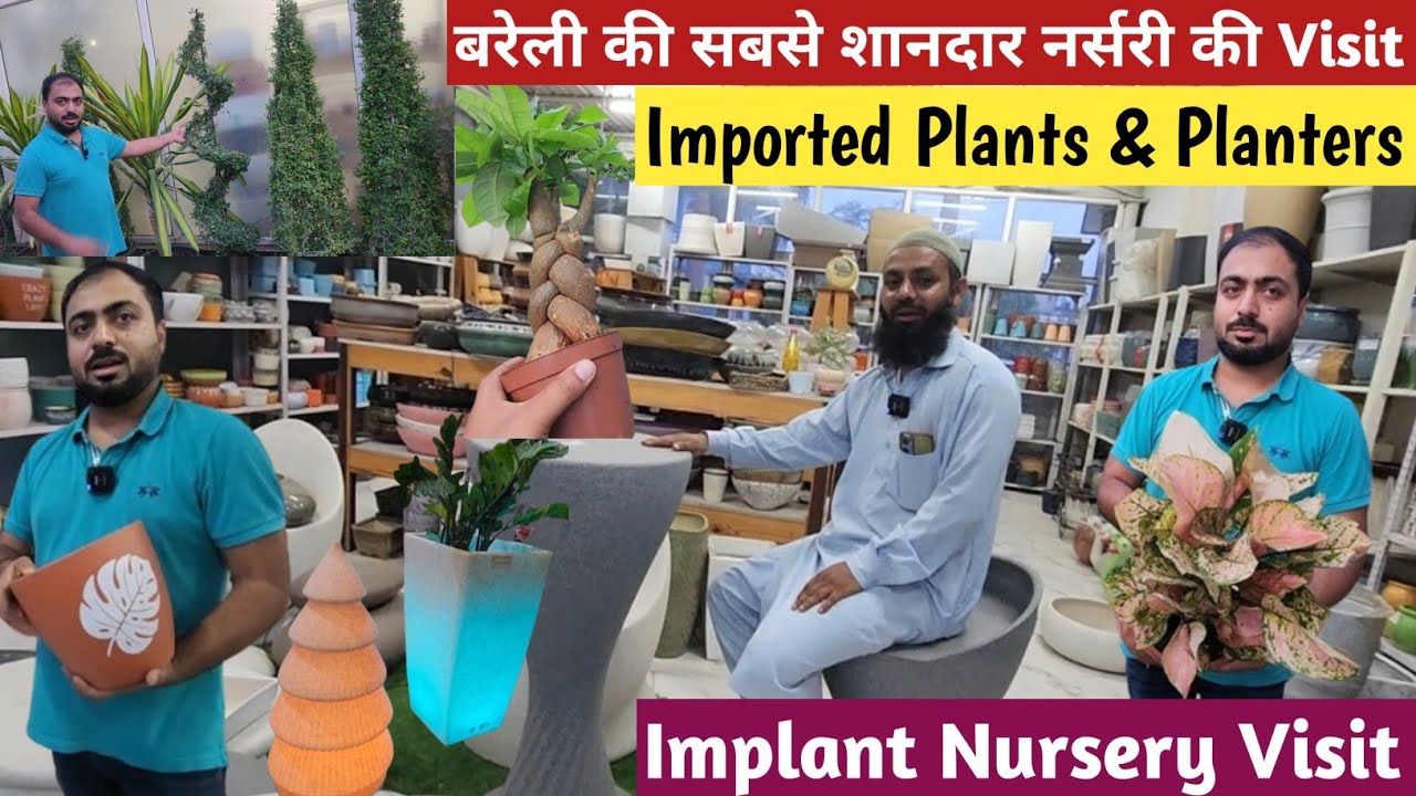 Most Beautiful Plants Nursery Visit👏Imported Plant Nursery Visit ...