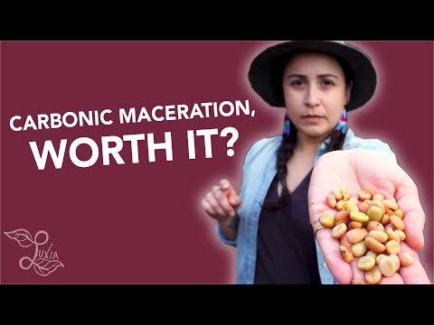 The Fundamental Problem with Carbonic Maceration