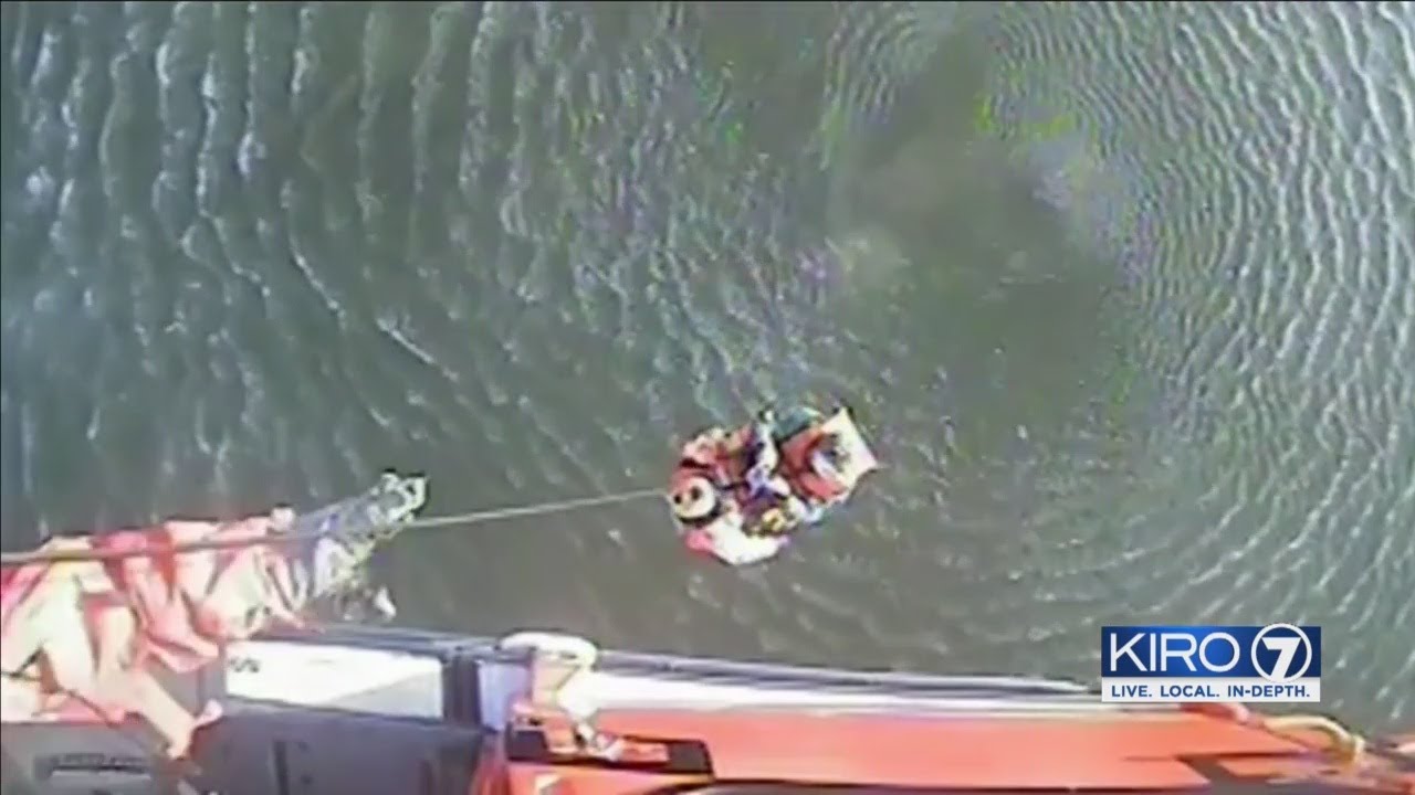 VIDEO: River rescue caught on camera - YouTube