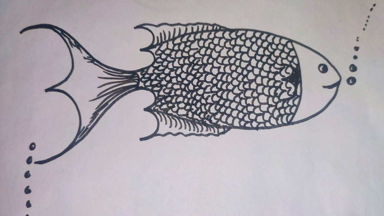How to draw fish with numbers | easy fish drawing | #cute #fishdrawing ...