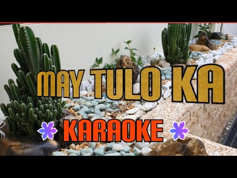 MAY TULO KA-KARAOKE(Chikinini Parokya ni Edgar) - YouTube