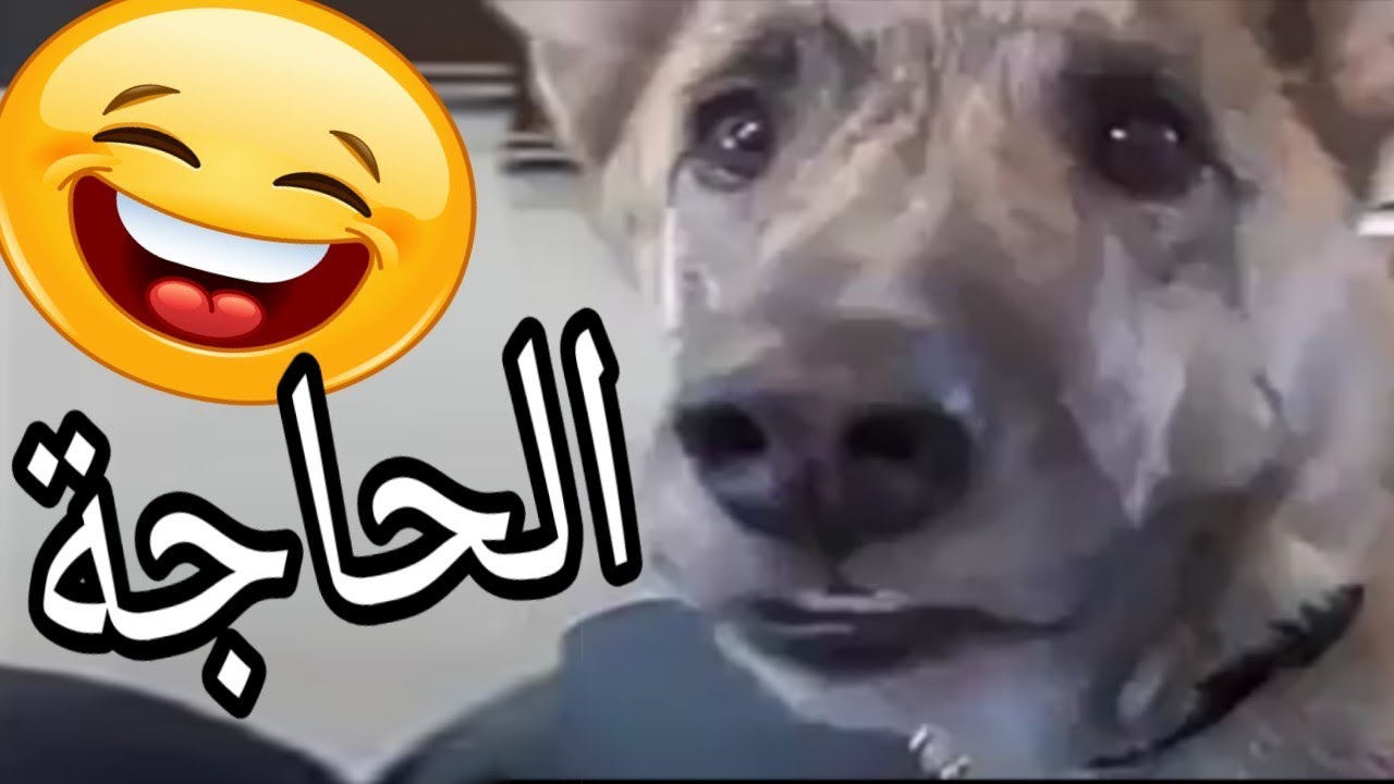 fokaha maroc 2018 hhh - YouTube