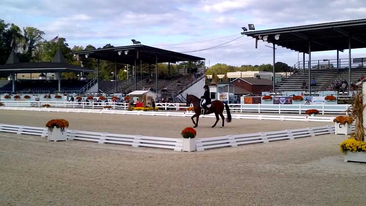 Maya Markowski I1 Freestyle Dressage at Devon 2013 - YouTube