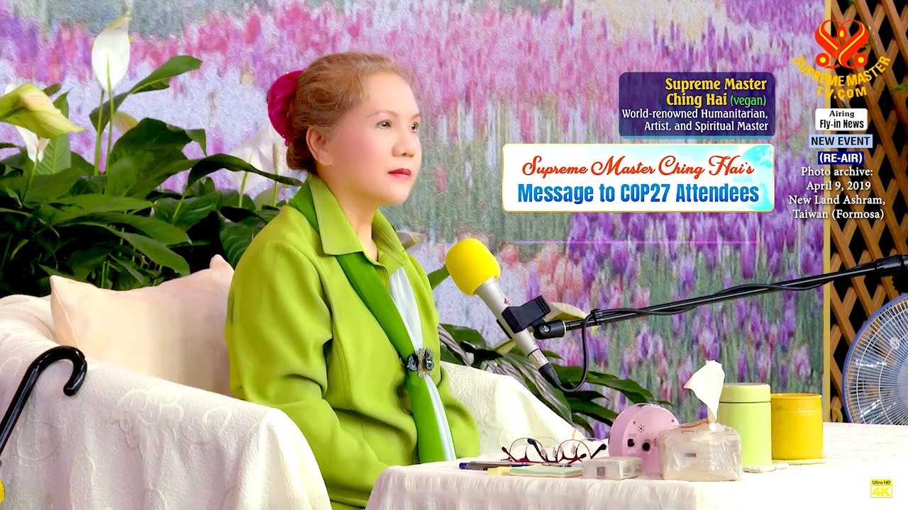 Fly-in News Supreme Master Ching Hai’s Message to COP27 | Be Vegan Make ...