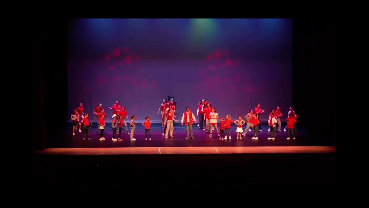 “We’re all in this together “ High School Musical recital performance ...
