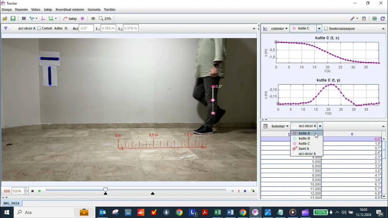 2D Gait Analysis with "TRACKER" (Video Analysis and Modeling Tool) Knee flexionextension ...