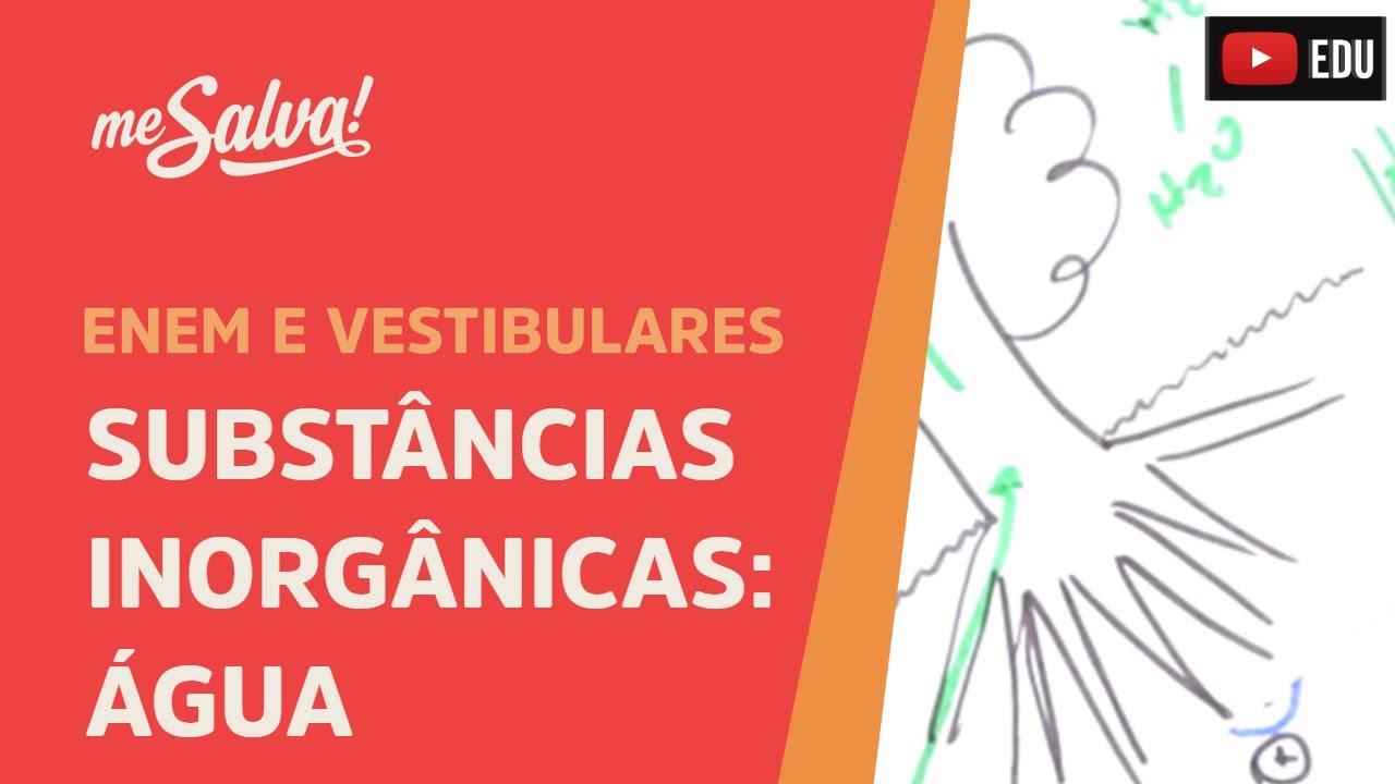 Me Salva! CIT02 - Citologia - Substâncias inorgânicas: Água - YouTube