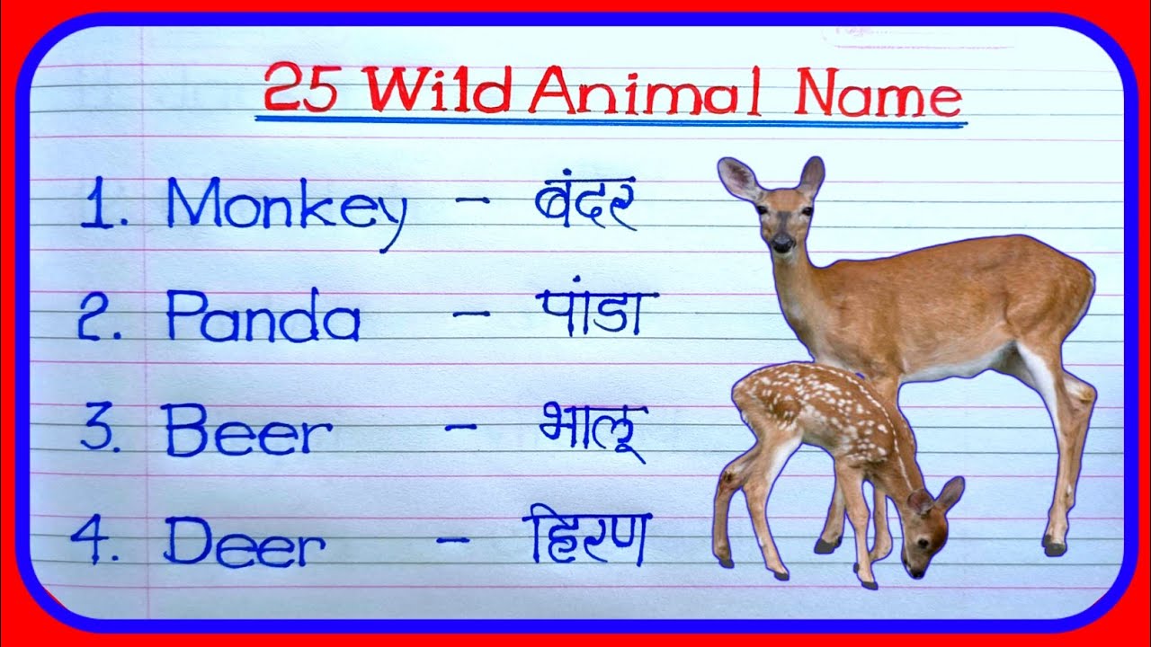 25 wild animals name in english | wild animals name | wild animals ...