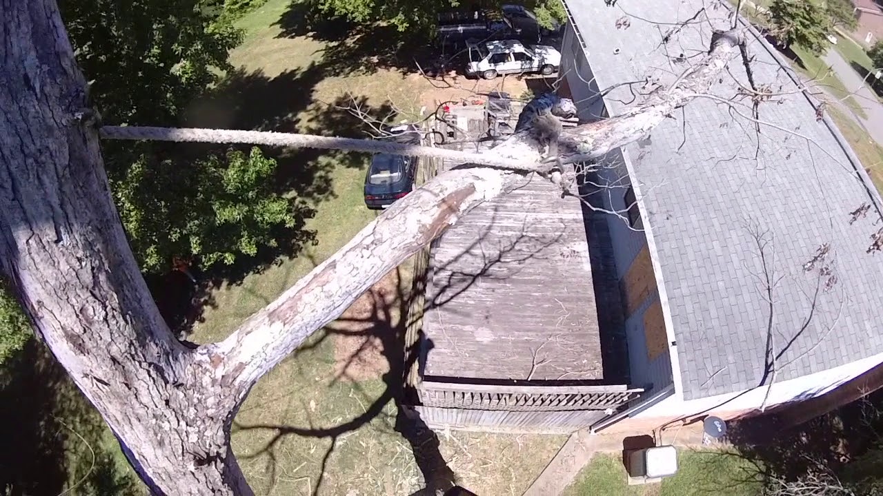 Removing A Large Dead White Oak Near A House and Deck 2018 - Part 2 ...