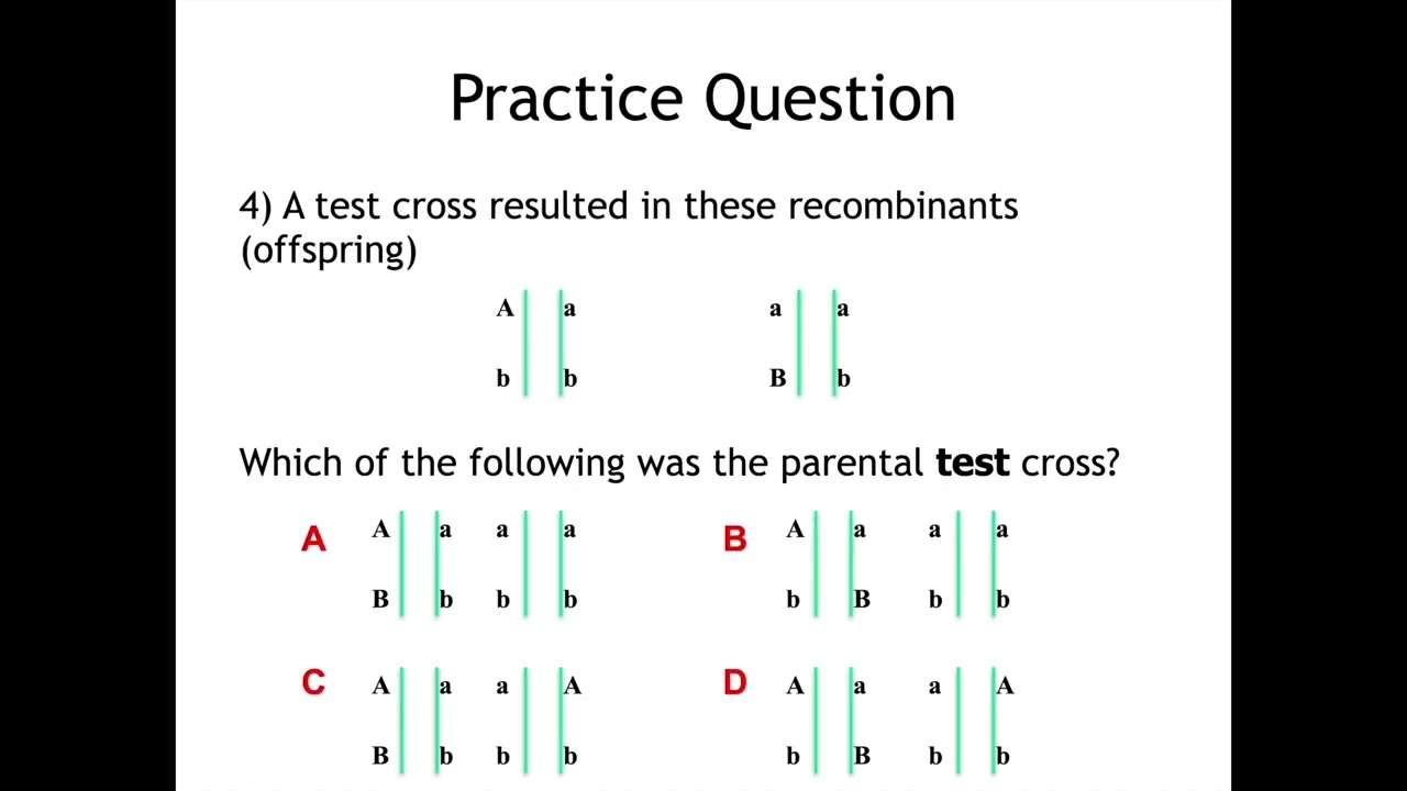 10.2 Practice Question: Recombination - YouTube