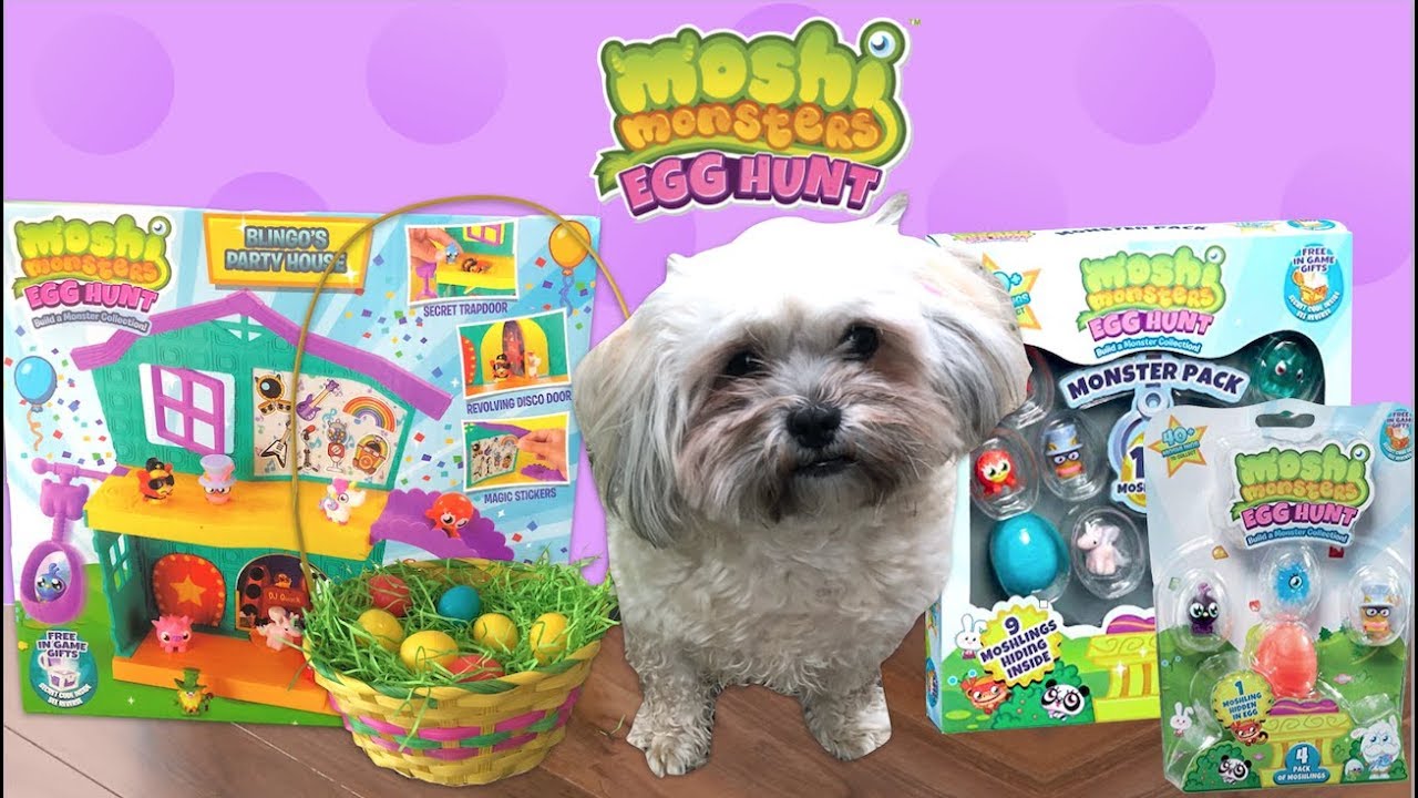 My Dog Went On a Moshi Monsters Egg Hunt - YouTube