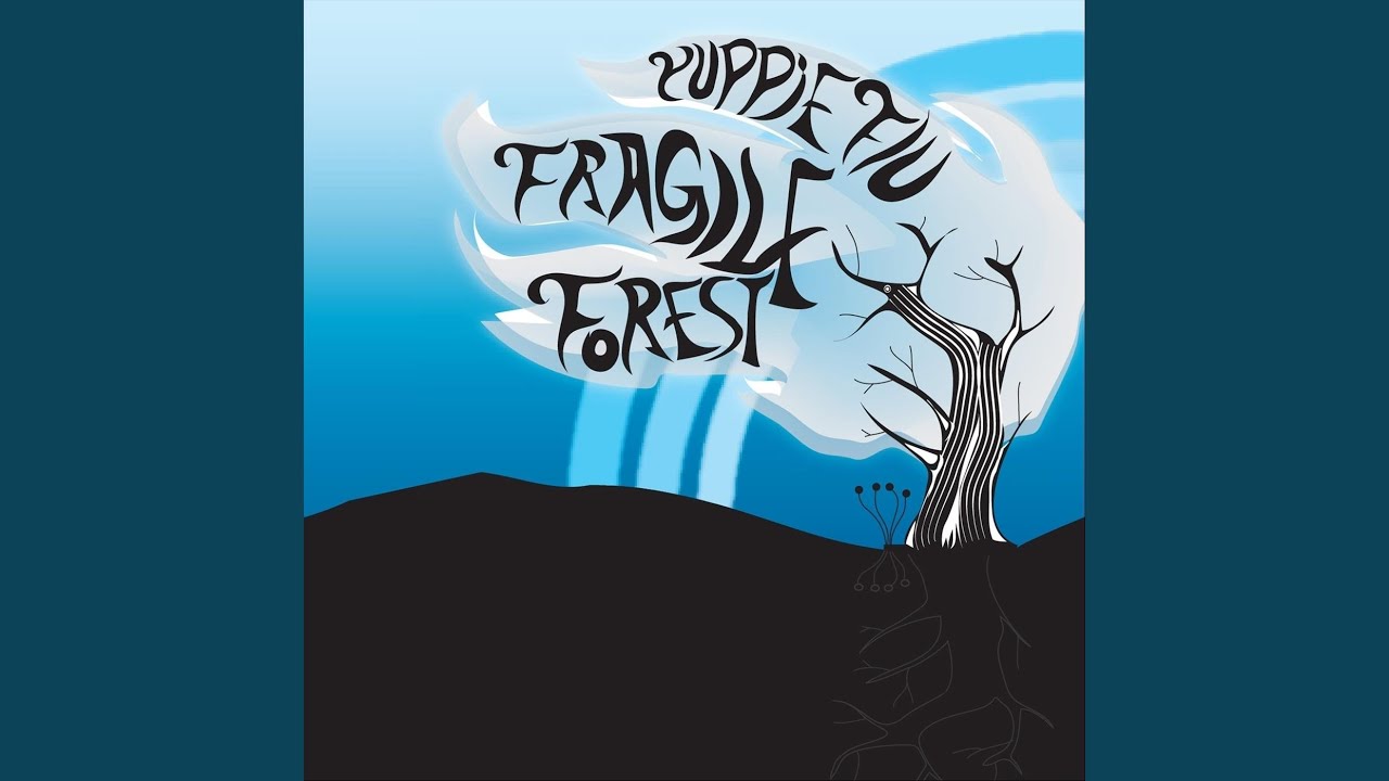 Fragile Forest - YouTube