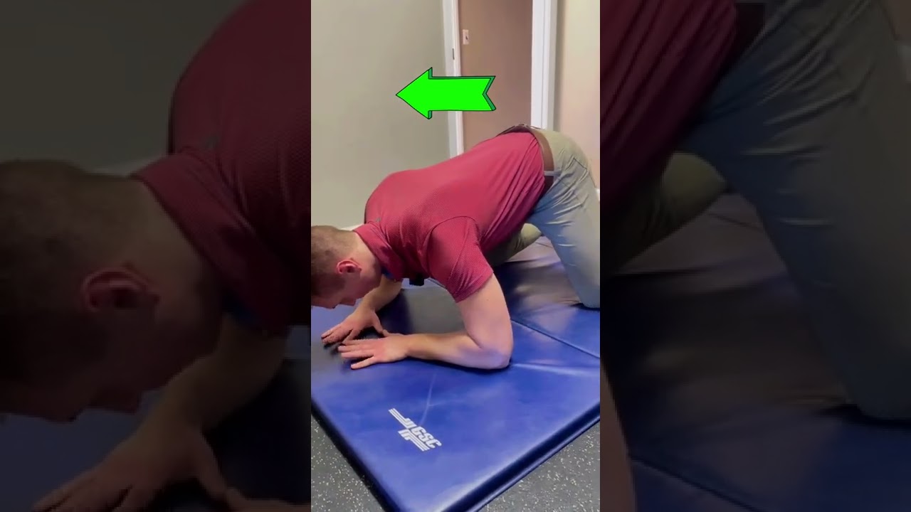 DNS Low Bear Exercises for Shoulder Stability - YouTube