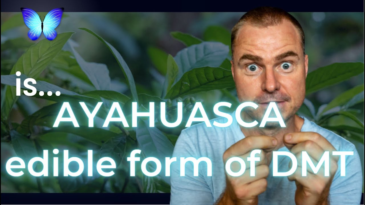 IS AYAHUASCA EDIBLE FORM OF DMT? - YouTube