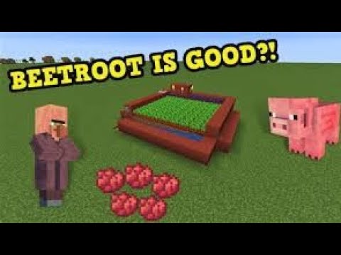 How To Make beetroot👩‍🌾👩‍🌾farm in Minecraft - YouTube