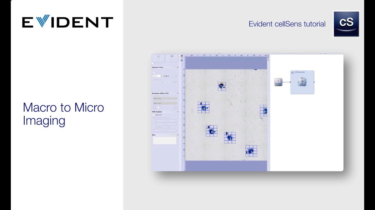 cellSens™ Tutorial: Macro to Micro Imaging - YouTube