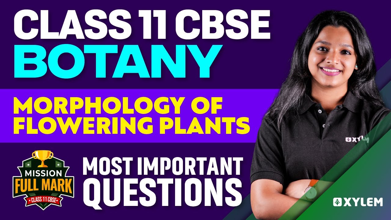 Class 11 CBSE - Botany -Morphology of Flowering Plants -Most Important ...